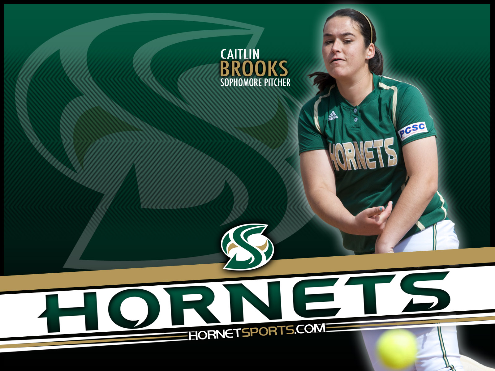 California State University, Sacramento - 1600x1200 Wallpaper - teahub.io