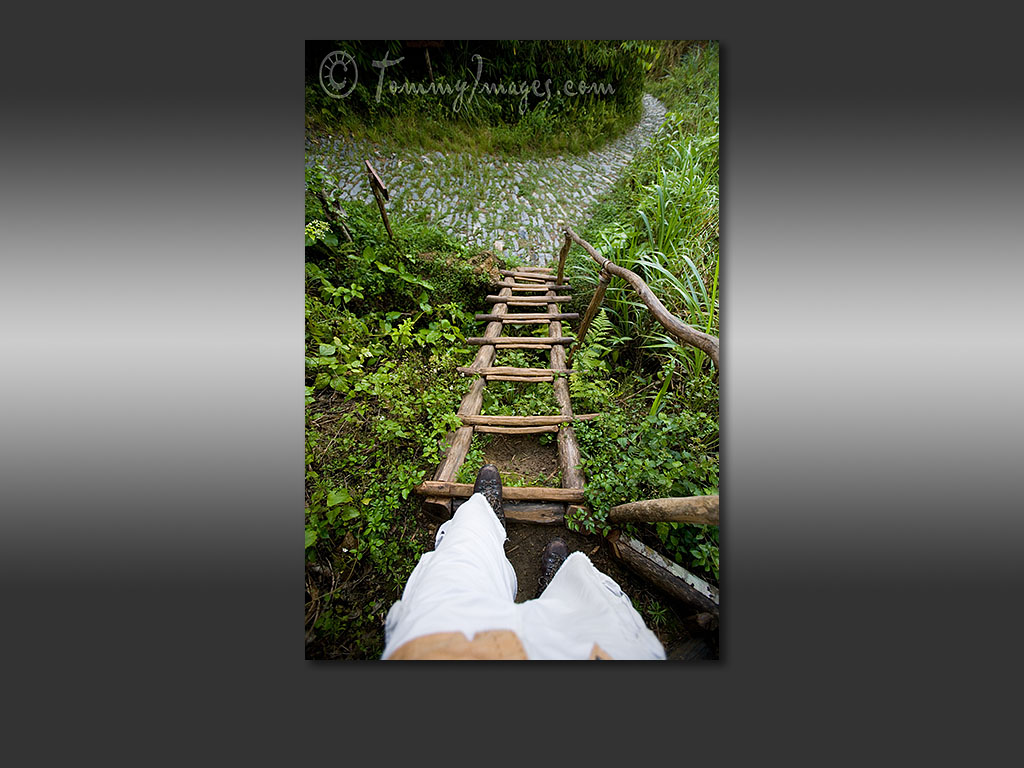 Click This Photo To Go Back To The Main Gallery Page keywords - Stairs ...