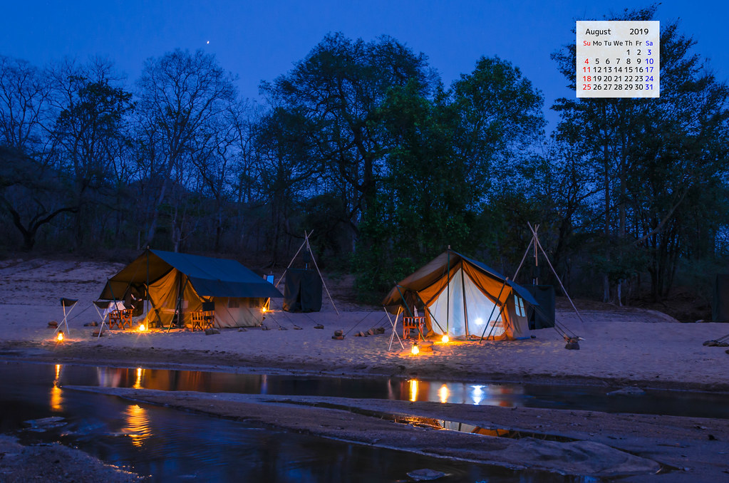 Free Download August 2019 Wallpaper Calendar Night - Camp Night ...