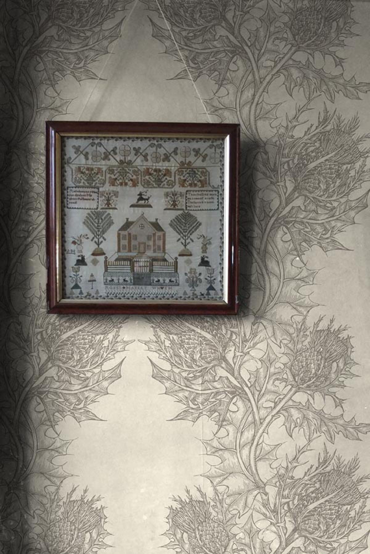 Timorous Beasties Slate On Grey Thistle - 1200x1798 Wallpaper - teahub.io