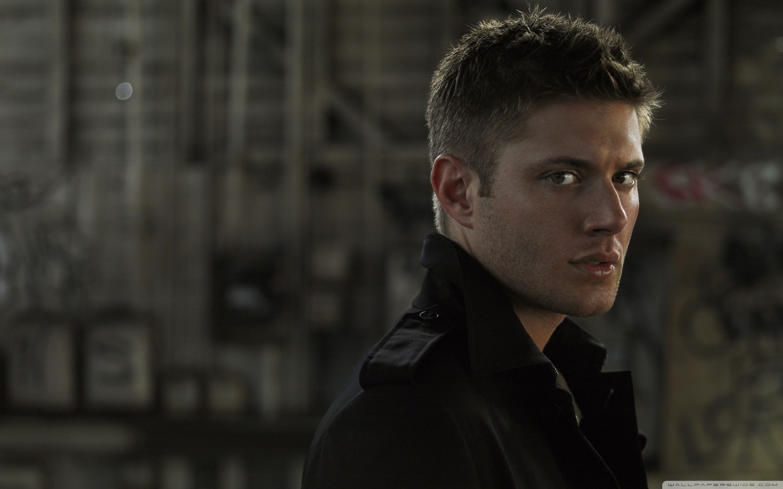 Dean Winchester - 2560x1600 Wallpaper - teahub.io