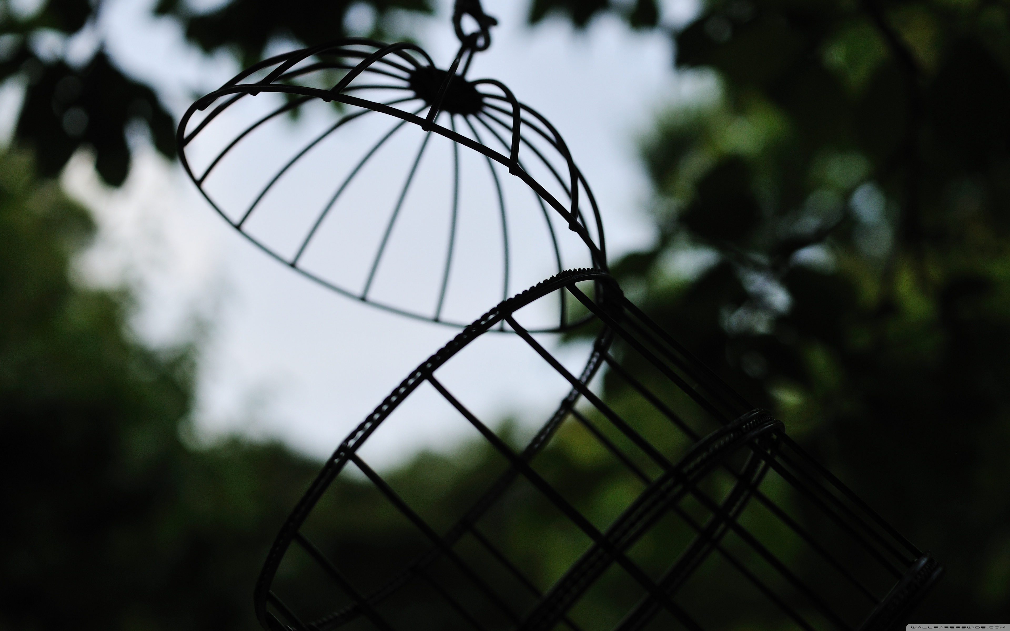 Unlocked Cage - 3840x2400 Wallpaper - teahub.io