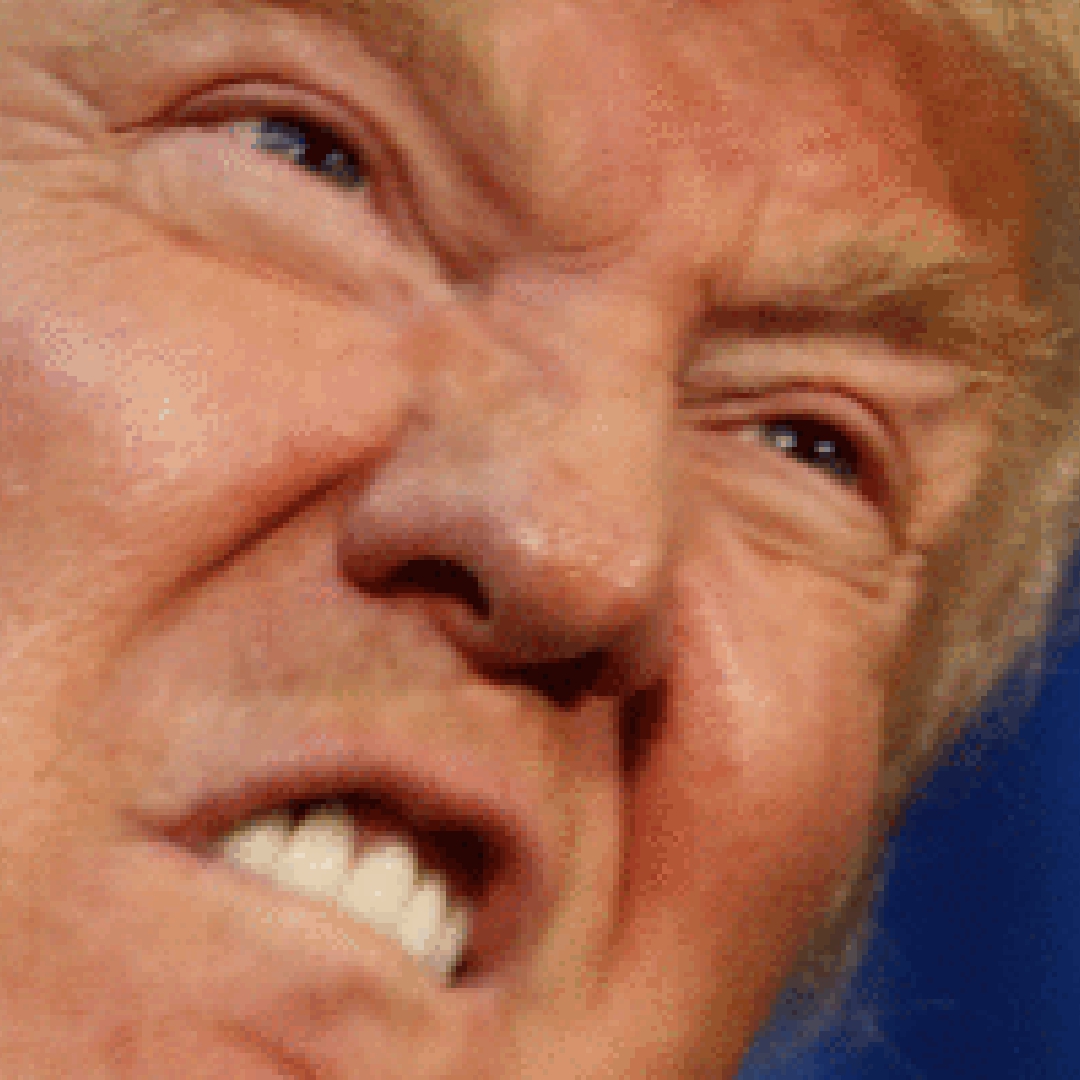 Trump You Re Fired Face - 1080x1080 Wallpaper - teahub.io