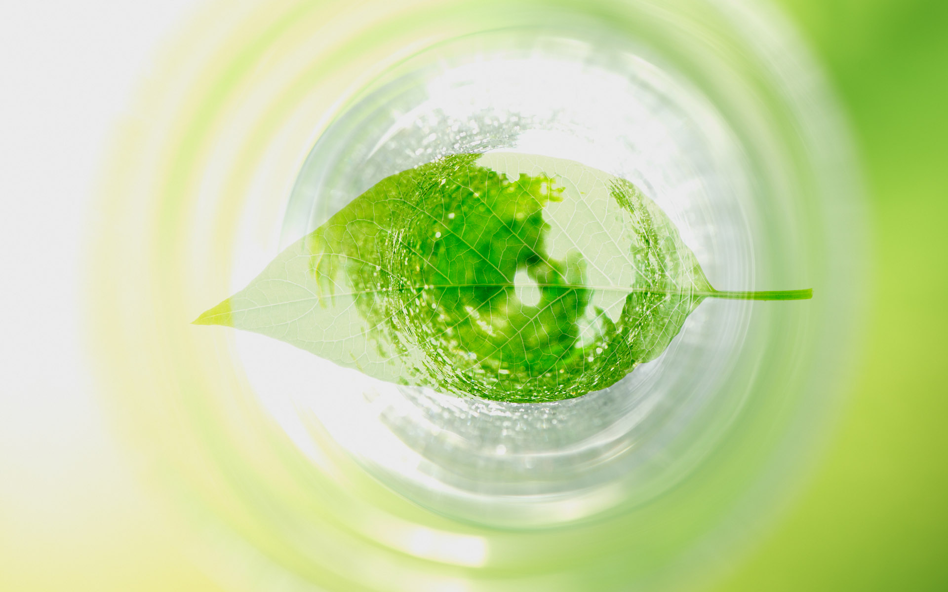 Green Healthy Backgrounds - 1920x1200 Wallpaper - teahub.io