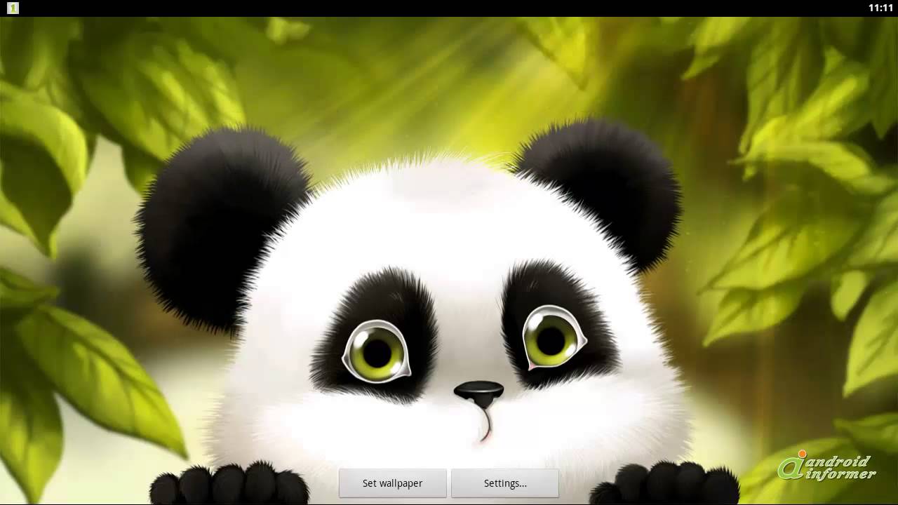 High Resolution Panda Hd - 1280x720 Wallpaper - teahub.io