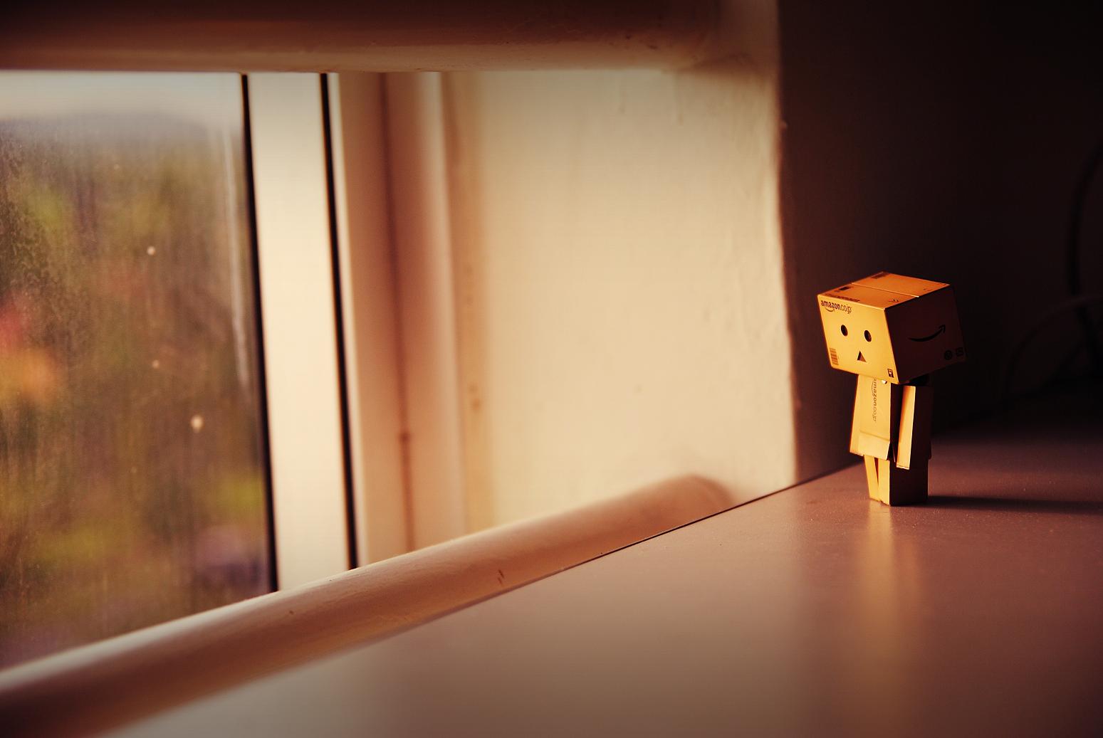 Danbo Sad - 1549x1037 Wallpaper - teahub.io