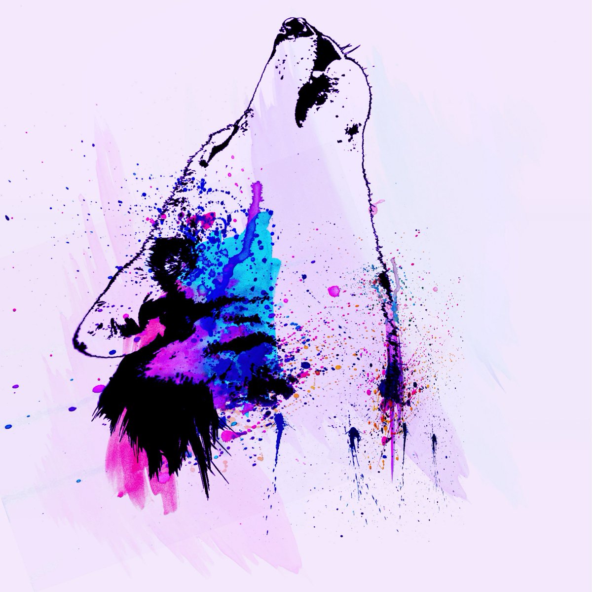 Fondos De Pantalla Walli - 1200x1200 Wallpaper - teahub.io