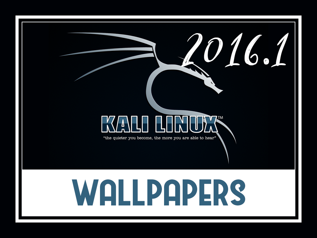 Kali Linux - Backtrack 4 - 1024x768 Wallpaper - teahub.io