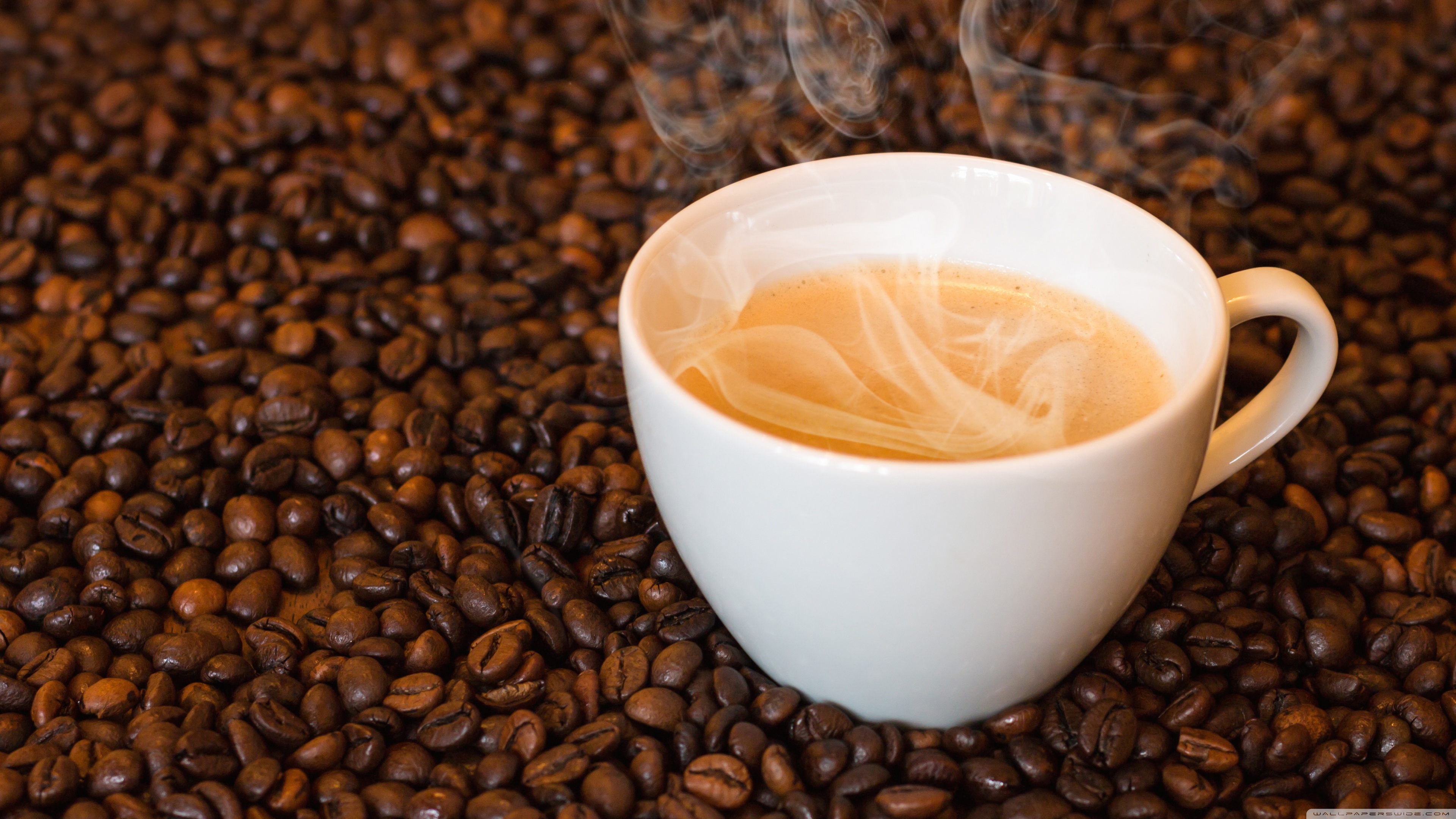 Coffee Cup Hd - 3840x2160 Wallpaper - teahub.io