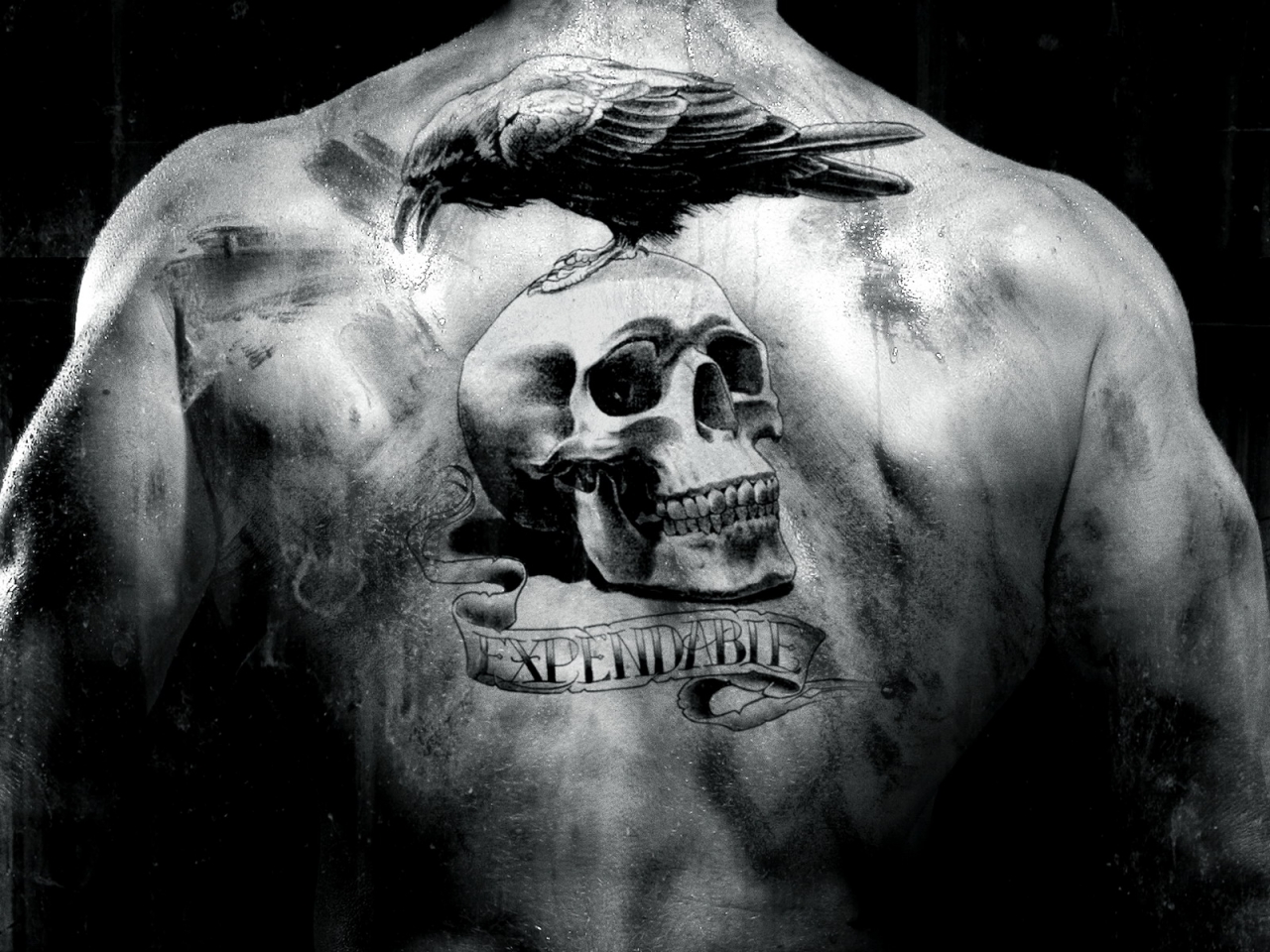 Tattoo And Expendables Image - Expendables Movie Tattoo - 1280x960 ...