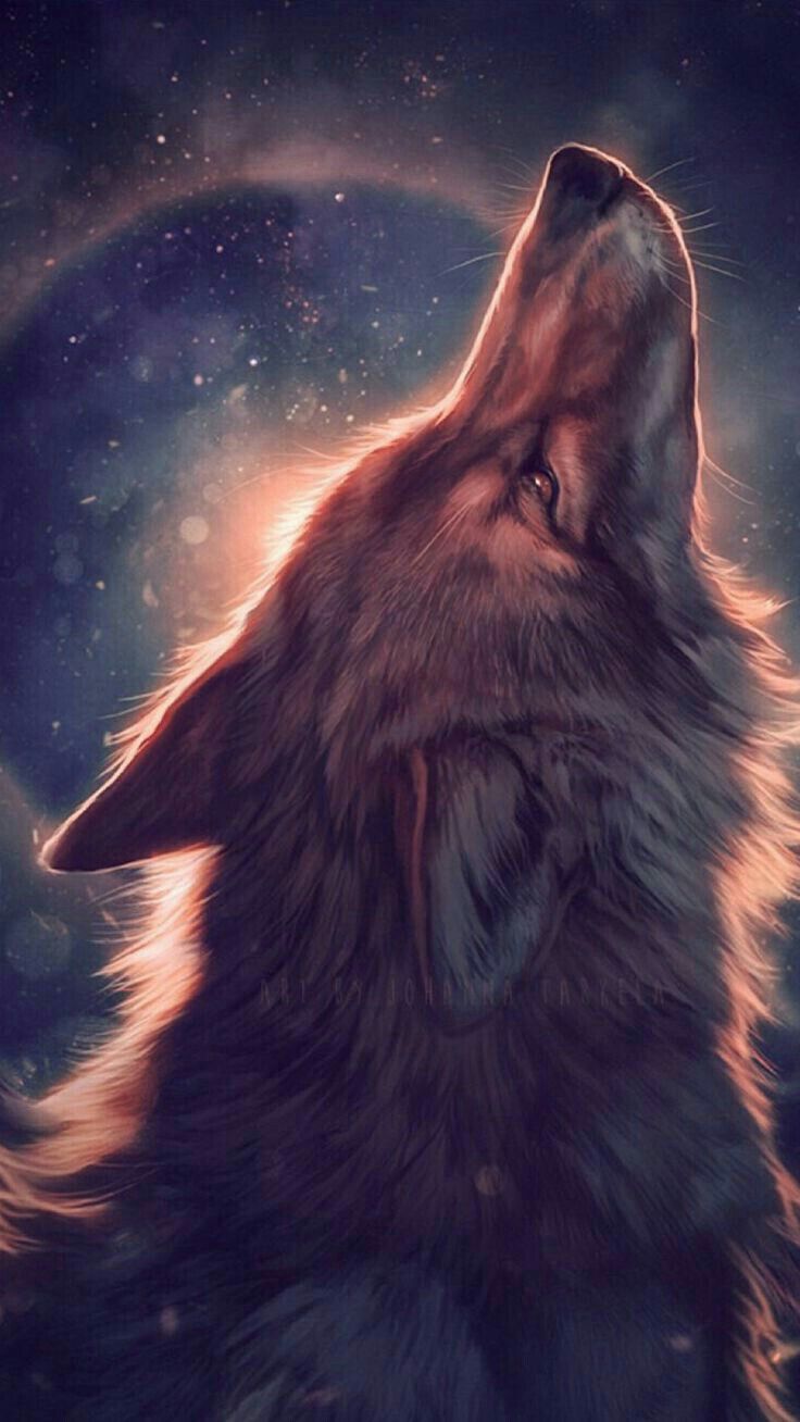 Beautiful Fox In The Moon - 736x1308 Wallpaper - teahub.io