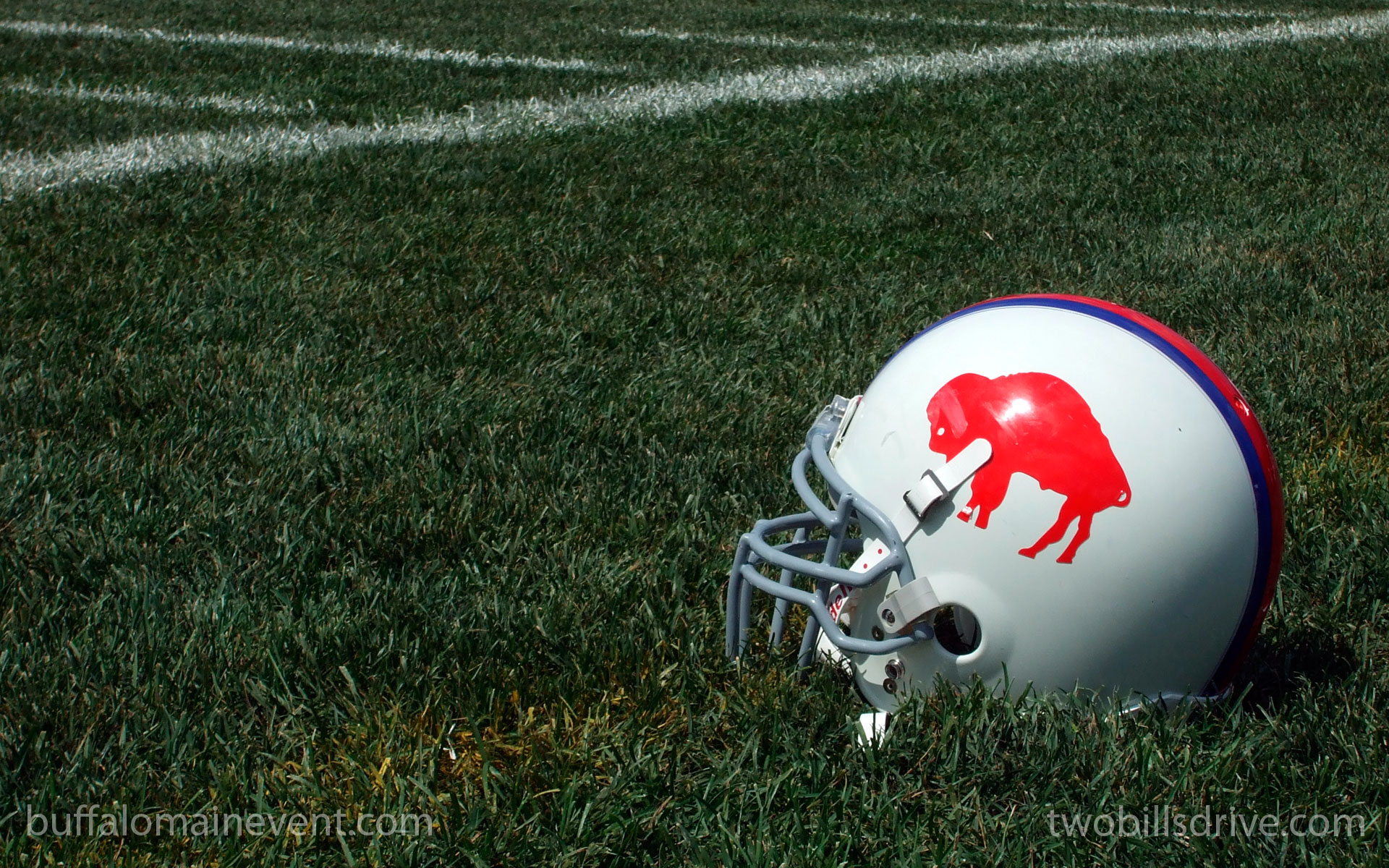 Hd Wallpaper Buffolo Bills - 1920x1200 Wallpaper - teahub.io