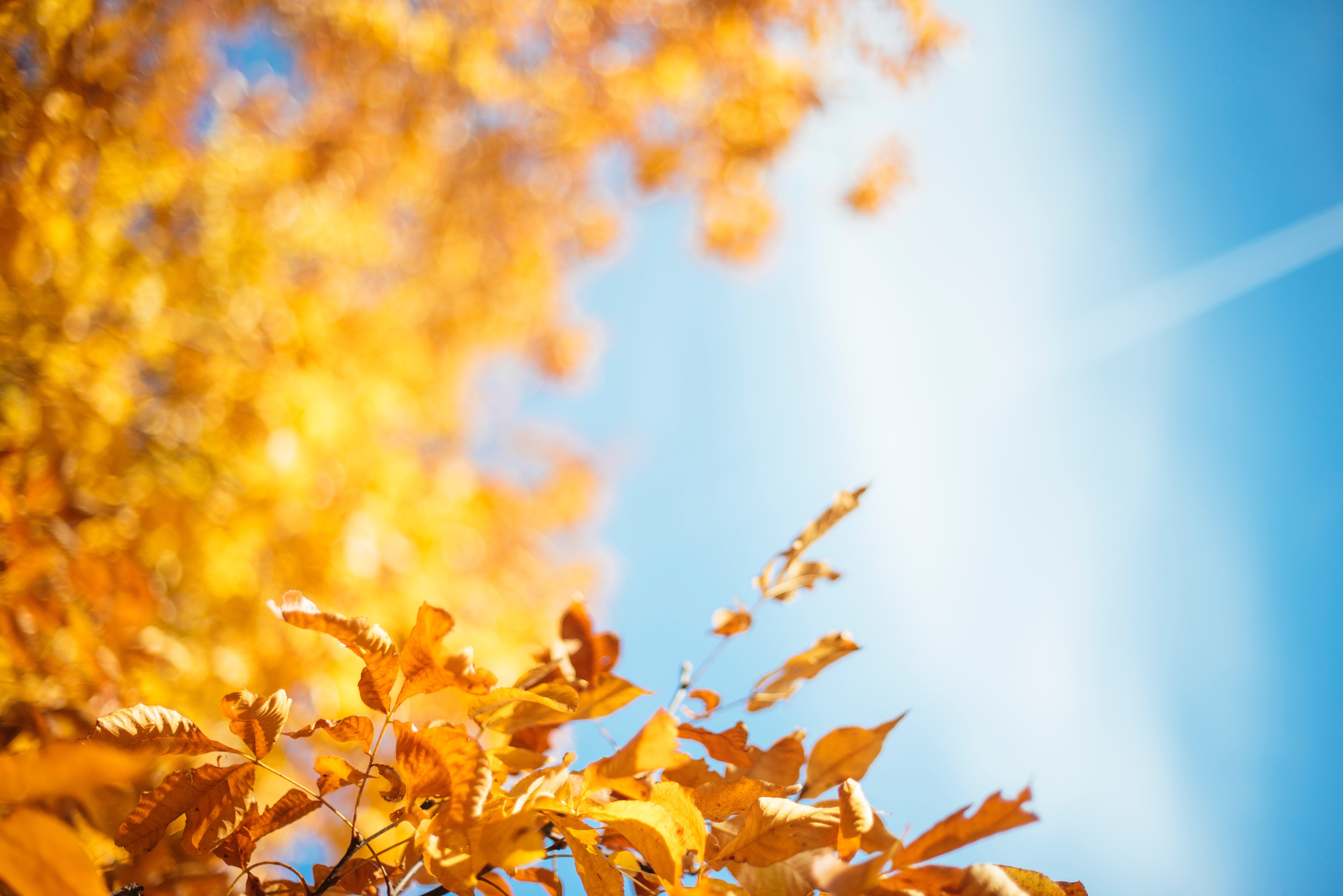 Fall Hvac - 6016x4016 Wallpaper - teahub.io