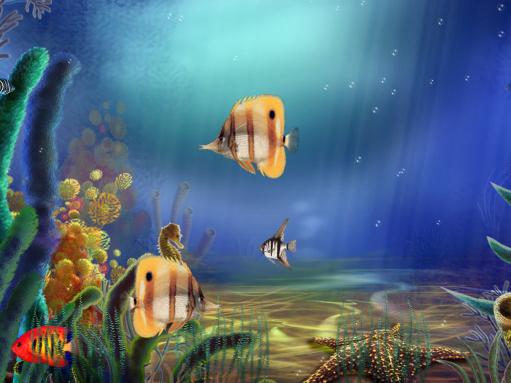 Moving Fish Wallpaper - 1024x768 Wallpaper - teahub.io