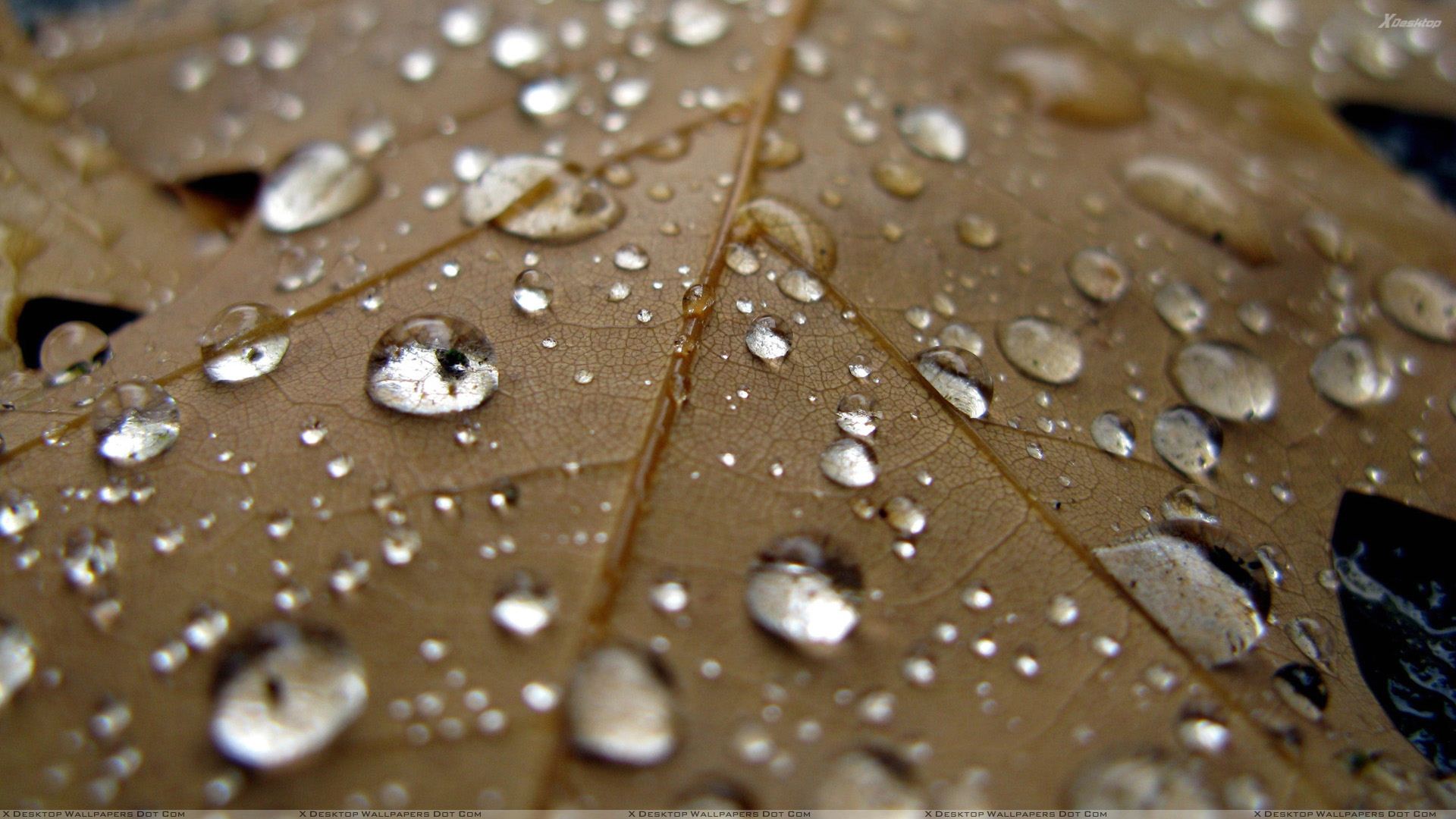 Download Water Close Up Photography - Teahub.io