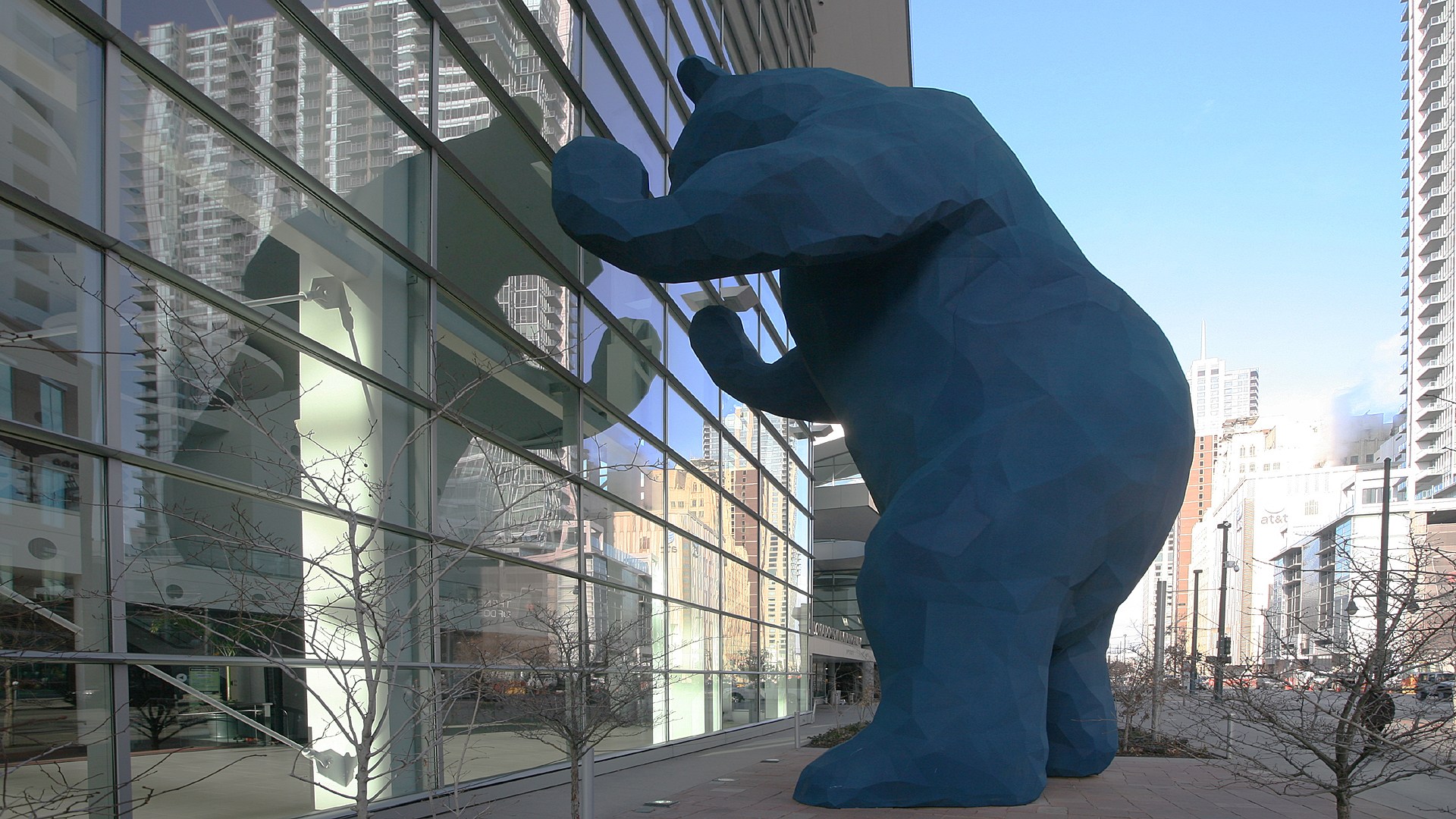 Blue Bear Denver - 1920x1080 Wallpaper - teahub.io