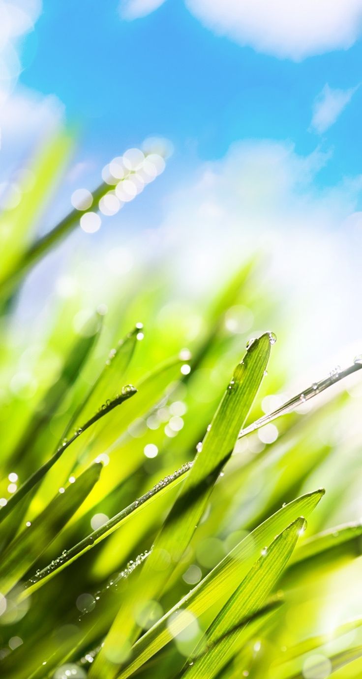 Download Hd Home Screen - Hd Wallpaper Home Screen - Teahub.io