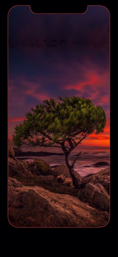 Cool Iphone Xs Max 473x1024 Wallpaper