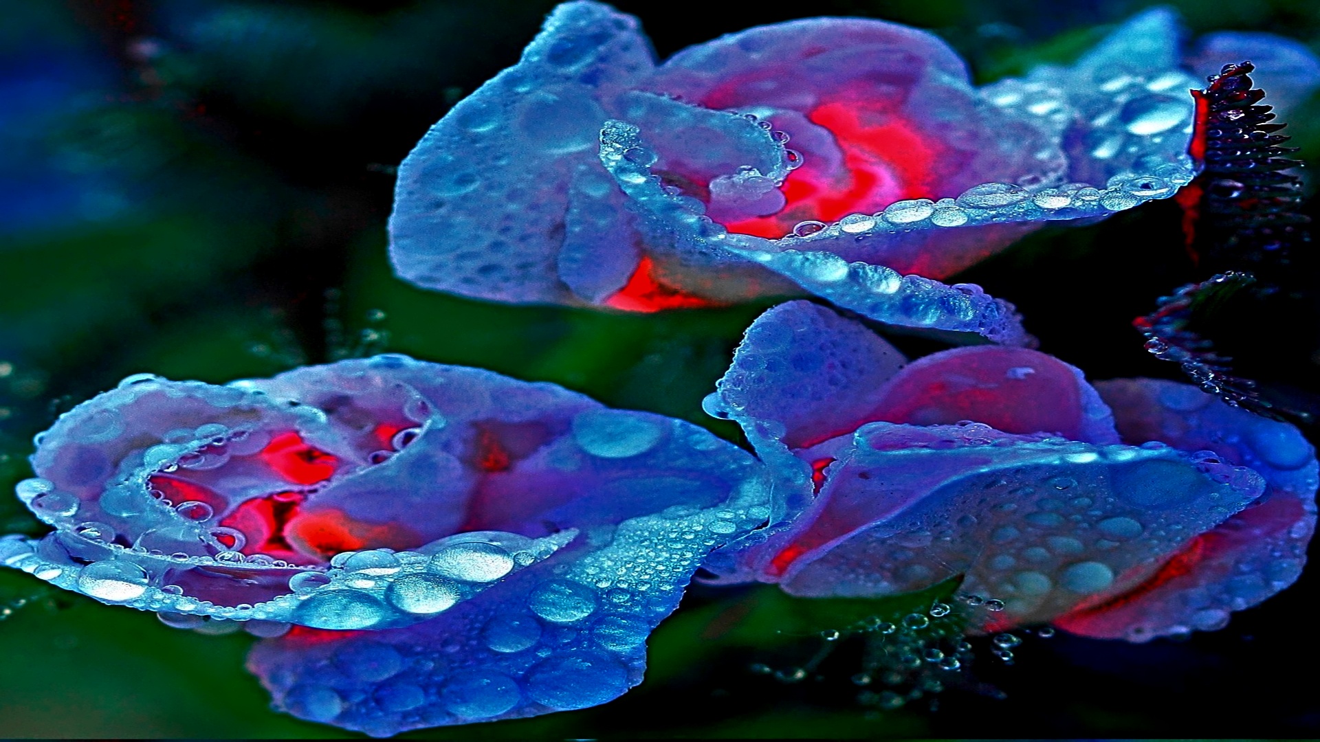 3d Hd Image In Love 1920x1080 Wallpaper Teahub io 3d-hd-image-in-love-1920x1080-wallpaper-teahub-io