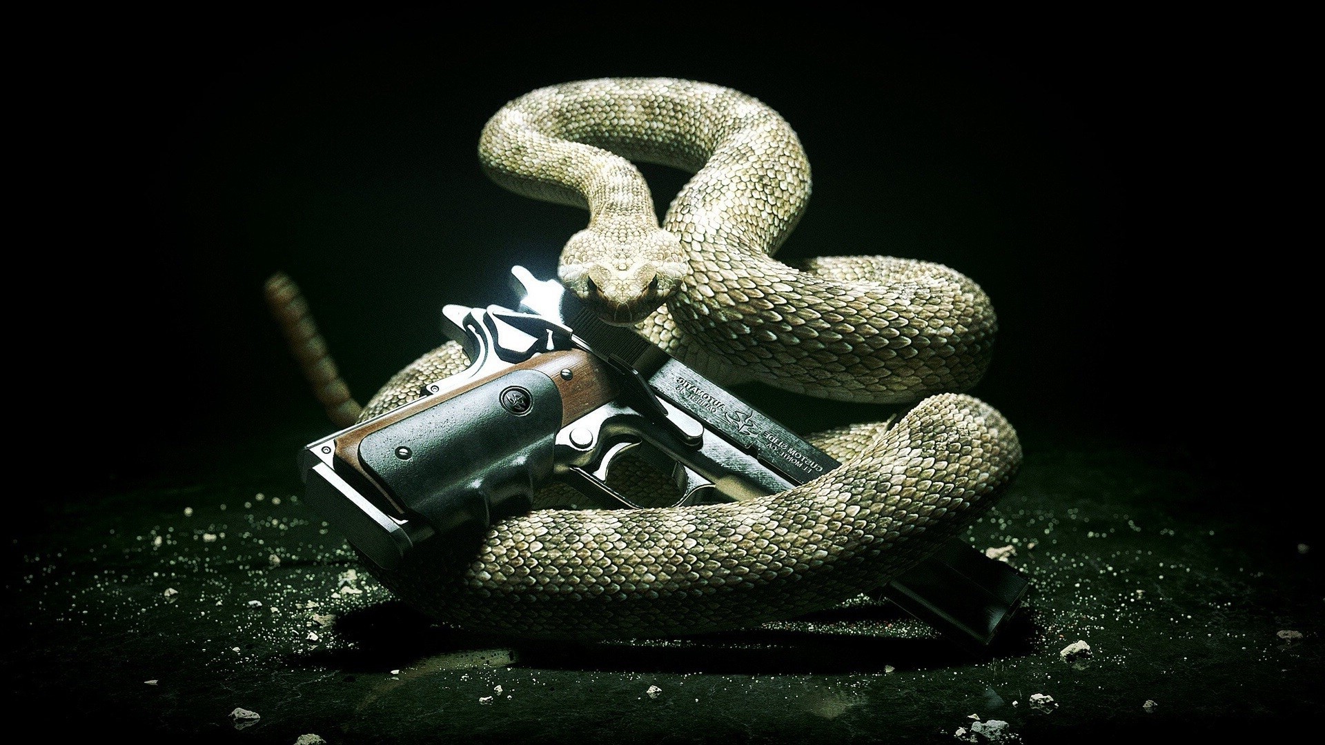 Snake And Gun Hd - 1920x1080 Wallpaper - teahub.io