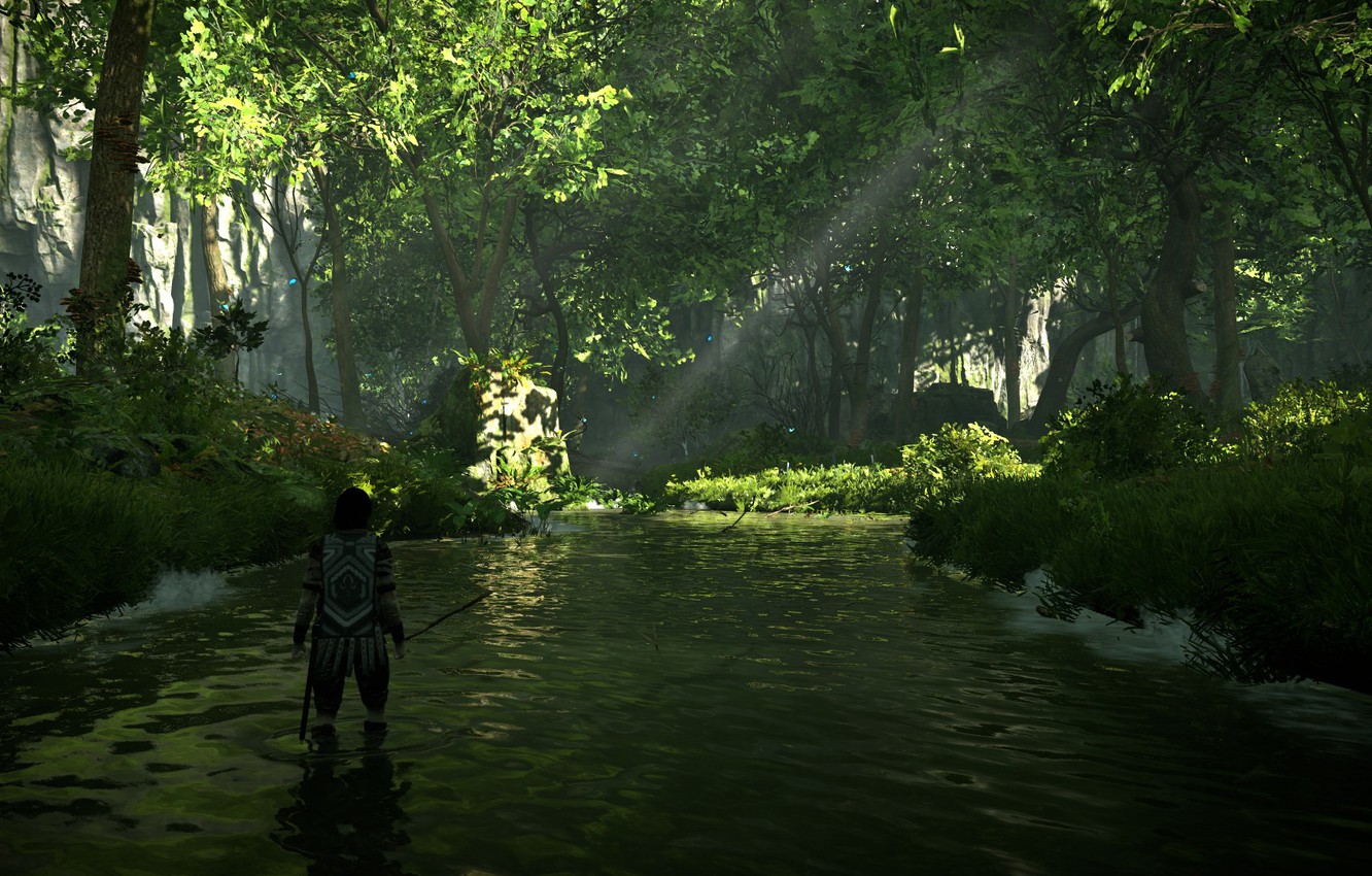 Photo Wallpaper Forest, Trees, River, Shadow Of The - Shadow Of The ...