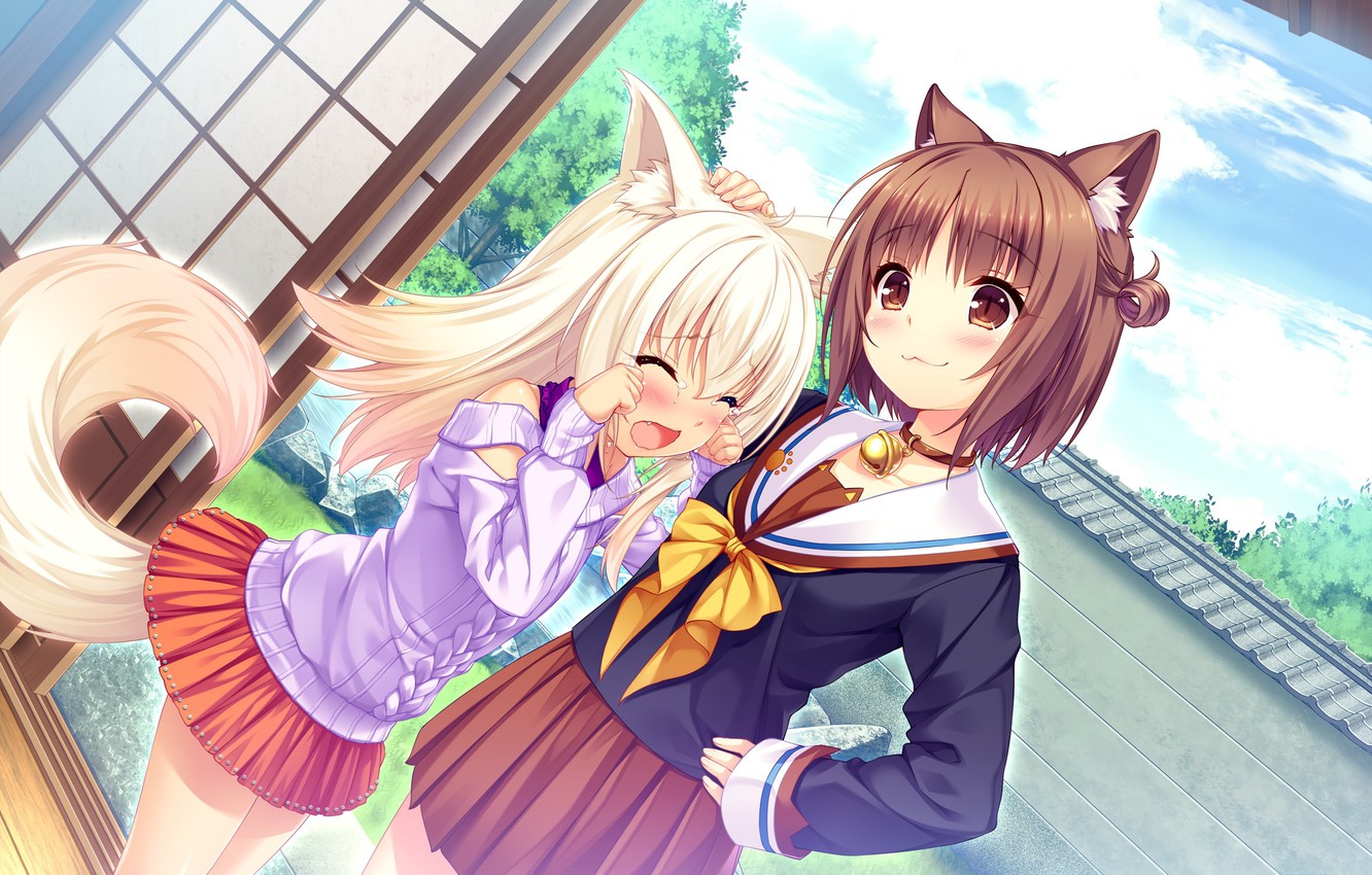 Photo Wallpaper Girls, Bow, Nekopara - Nekopara Coconut - 1332x850 ...