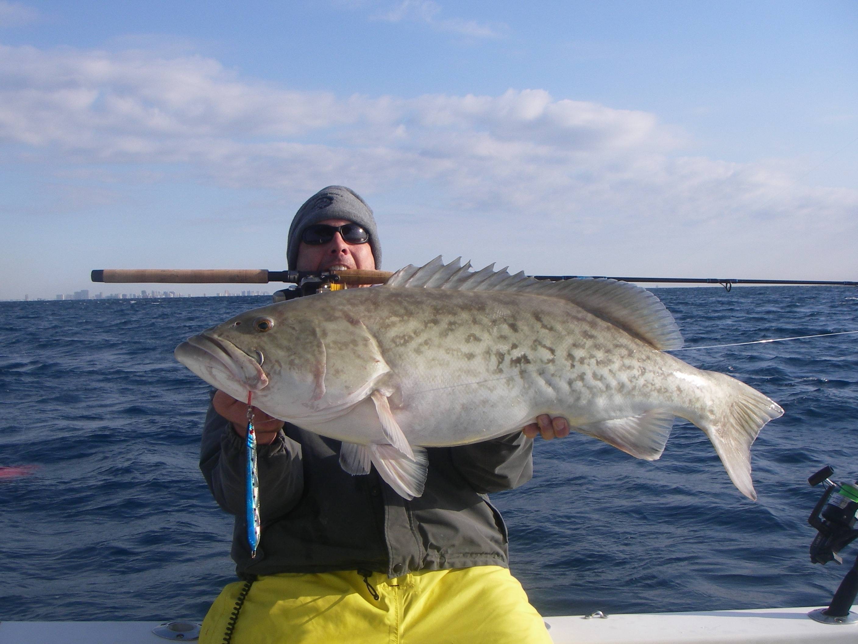 Data-src - Pull Fish Out Of Water - 2816x2112 Wallpaper - teahub.io