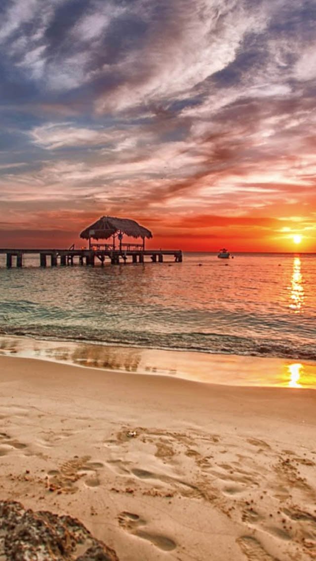 High Resolution Summer Desktop Backgrounds - 640x1136 Wallpaper - teahub.io