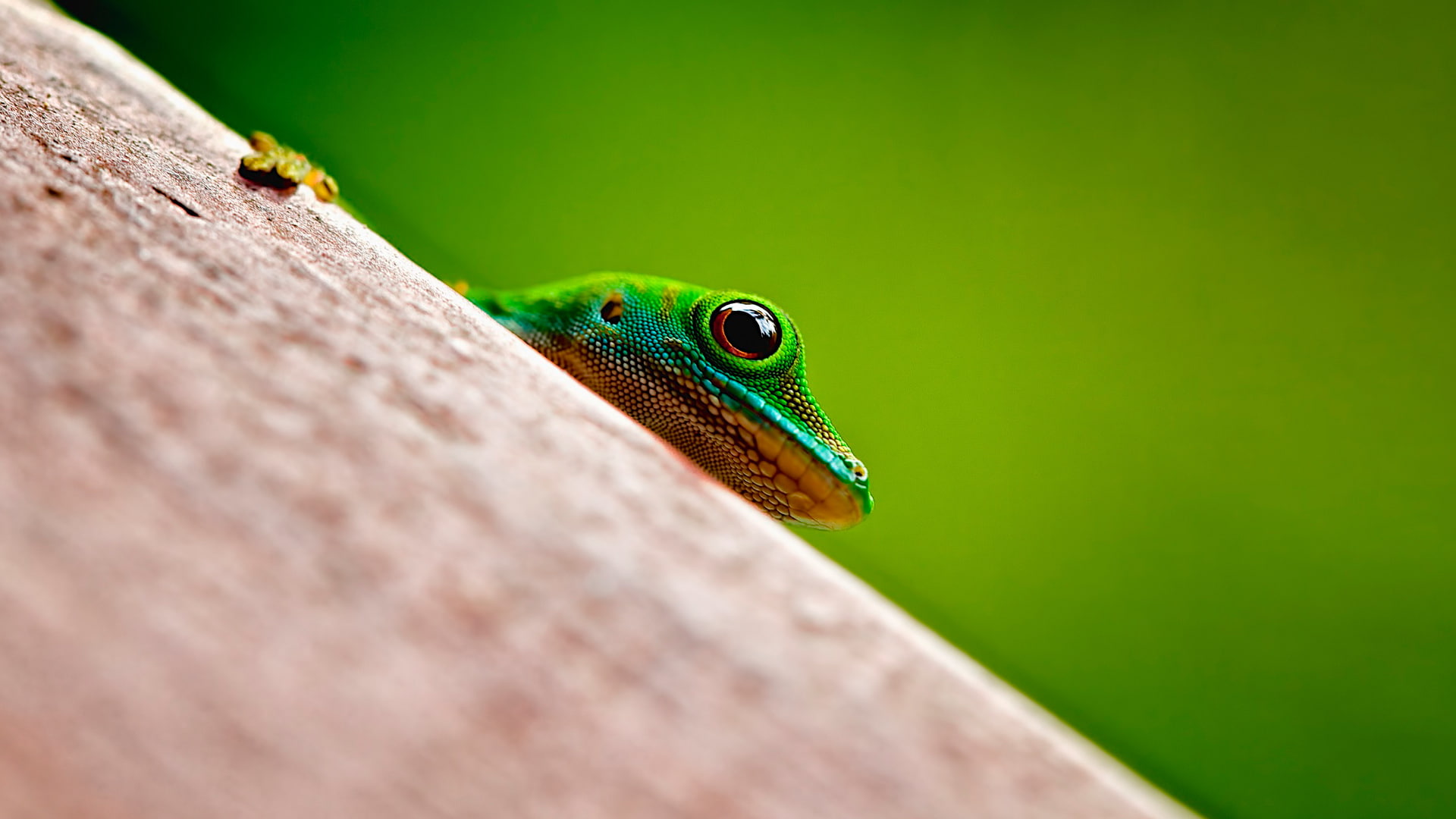 Bloody Core 3 Activation Code - 1920x1080 Wallpaper - teahub.io