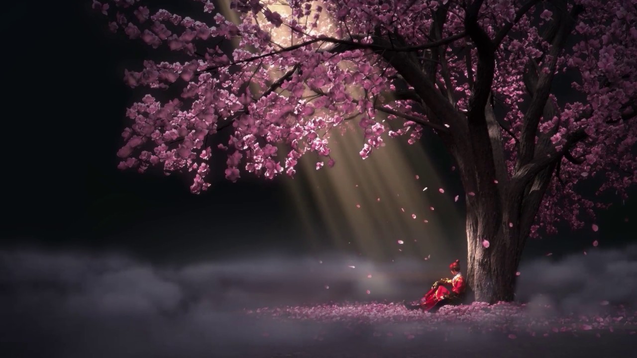 Sakura Drop Animated - 1280x720 Wallpaper - teahub.io