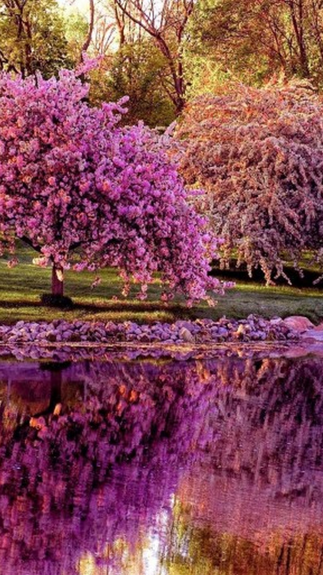 Download Android Wallpaper Hd Spring Nature With Hd Resolution - Spring ...