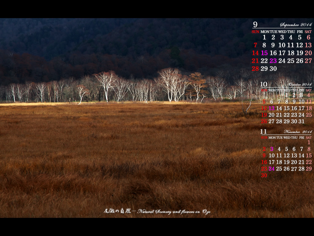 Display Resolution - 1024x768 Wallpaper - teahub.io