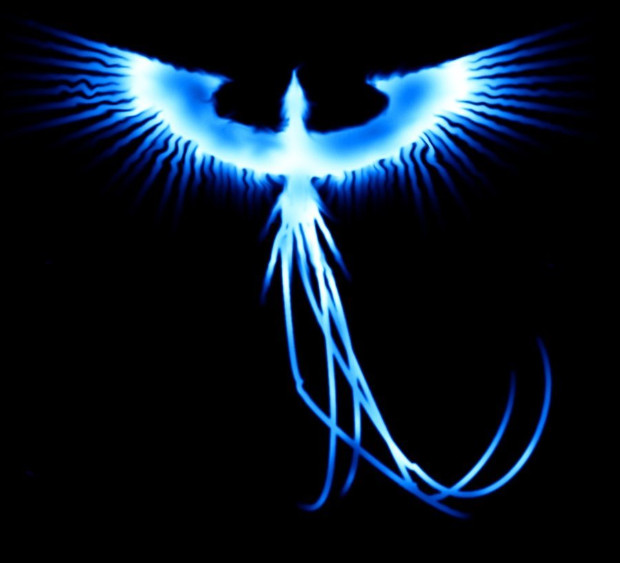 Fenix Azul - 900x818 Wallpaper - teahub.io