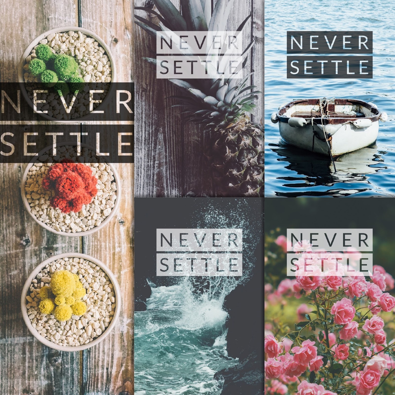 Never Settle Hd Wallpapers Of Cars - 1600x1600 Wallpaper - teahub.io