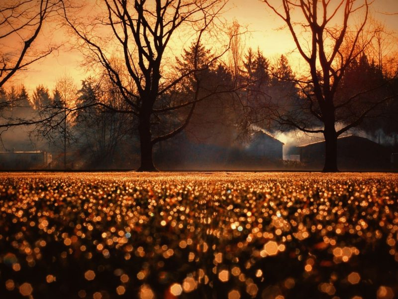 Morning Sunrise In Fall Wallpaper Hd - Fall Desktop Background ...