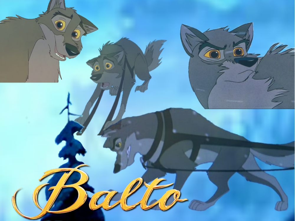 Balto - 1000x750 Wallpaper - teahub.io