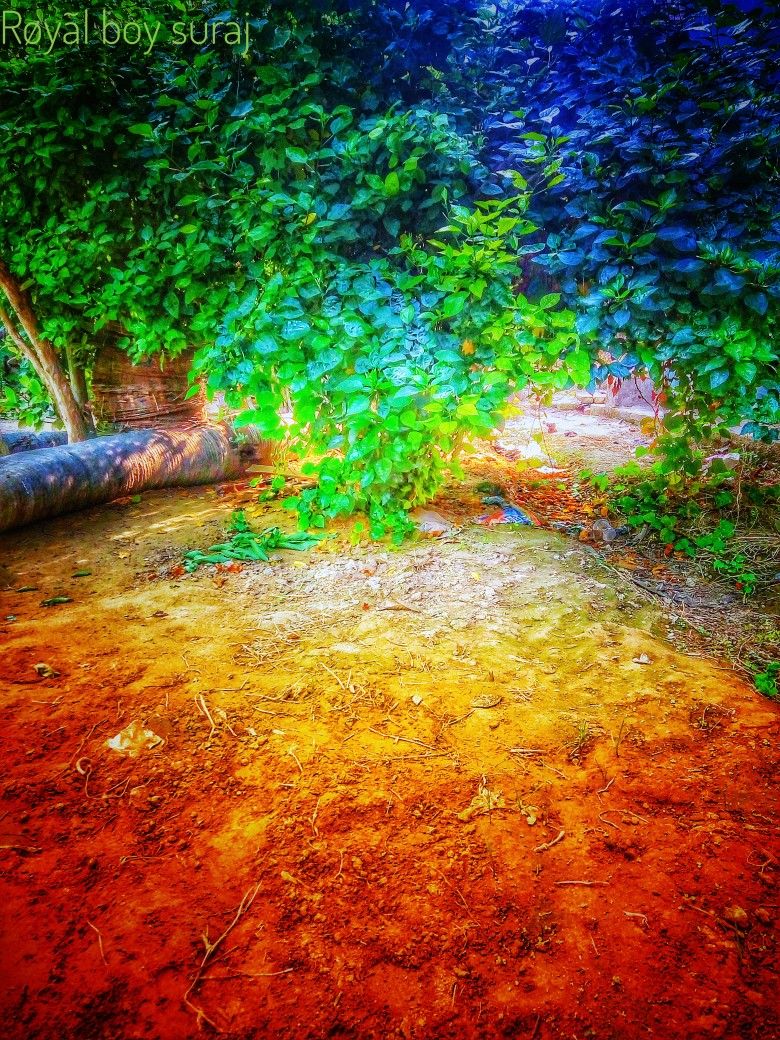 Download Editing Png Background Hd For Picsart - Teahub.io