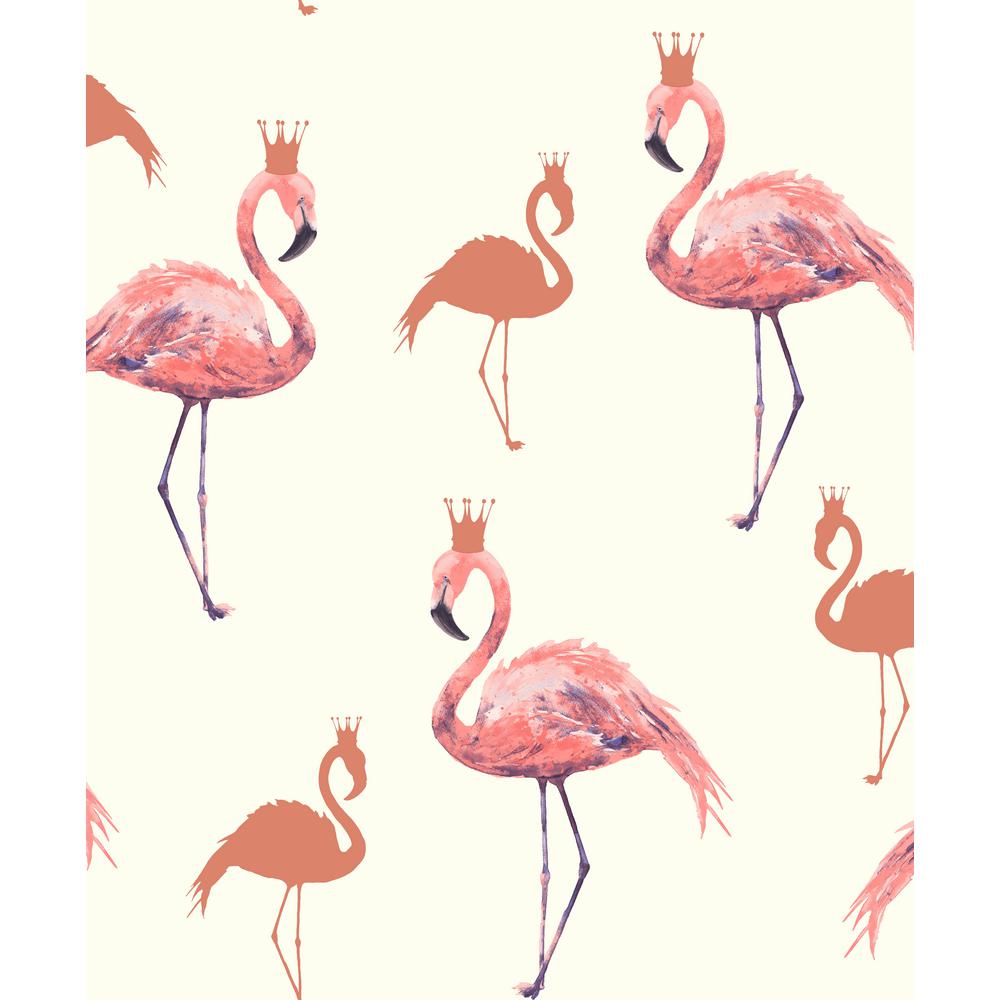 Queen Flamingo - 1000x1000 Wallpaper - teahub.io