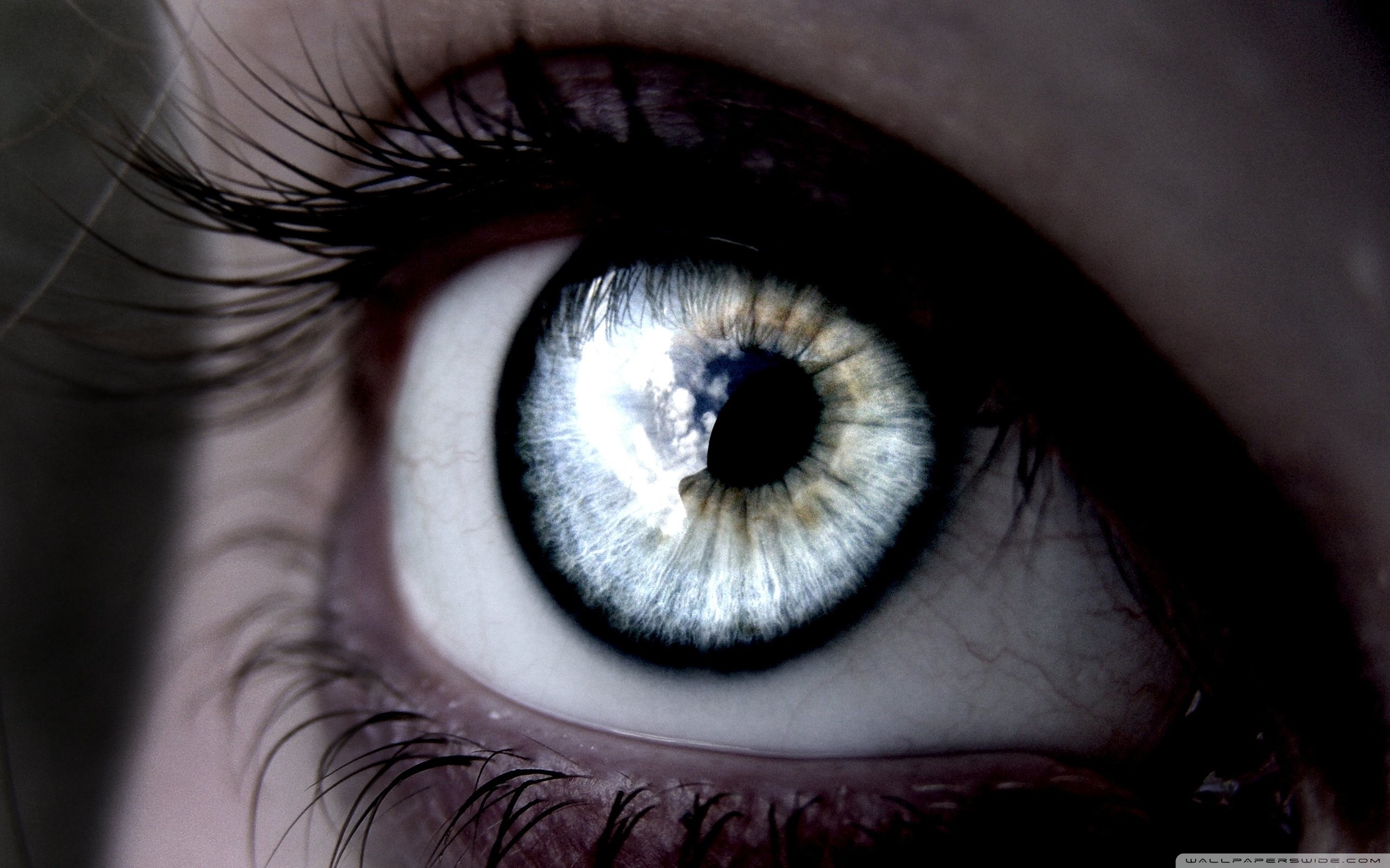 Death Scene Springtrap - Full Hd Eyes - 2560x1600 Wallpaper - teahub.io