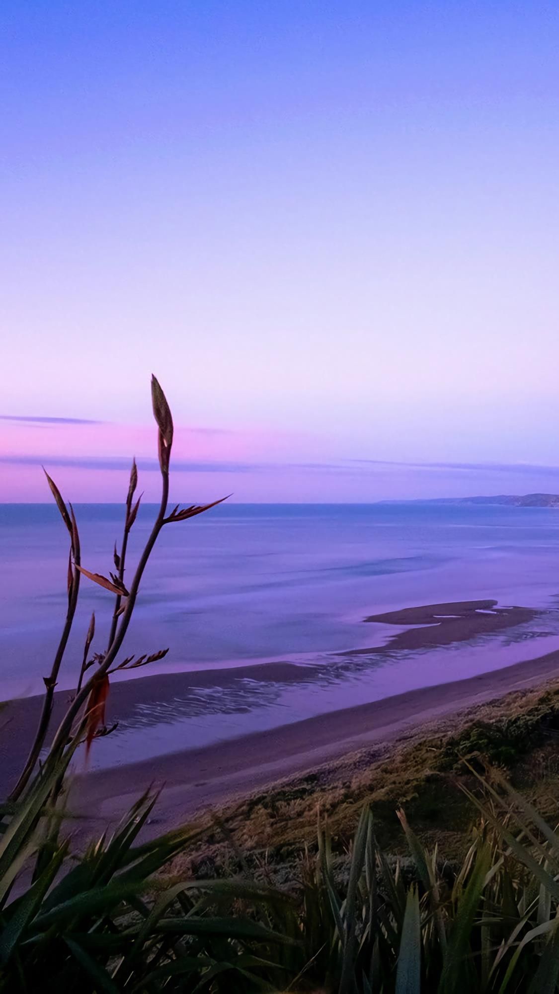 Android App Nature Background - 1125x2000 Wallpaper - teahub.io