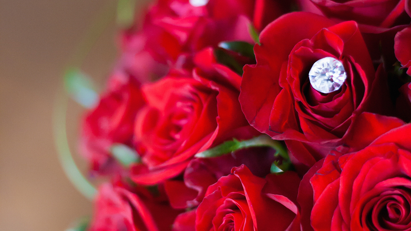 Red Rose With Diamond - 1366x768 Wallpaper - teahub.io