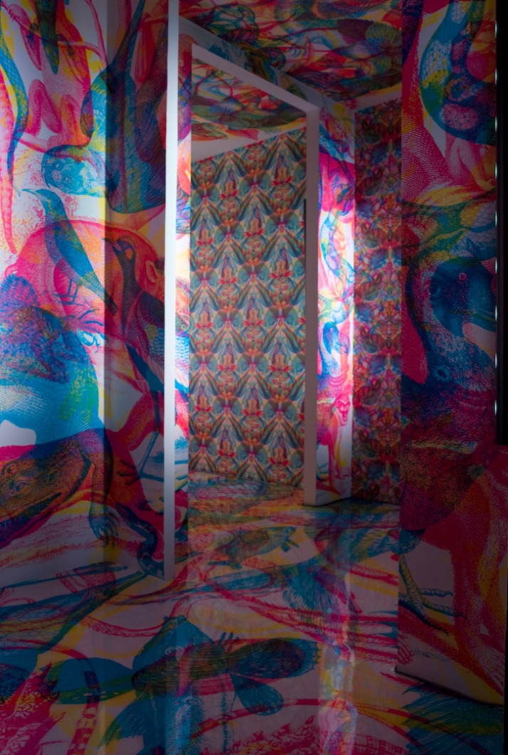 Photo By Luca Volpe // Image Courtesy Of Carnovsky - Carnovsky Rgb ...