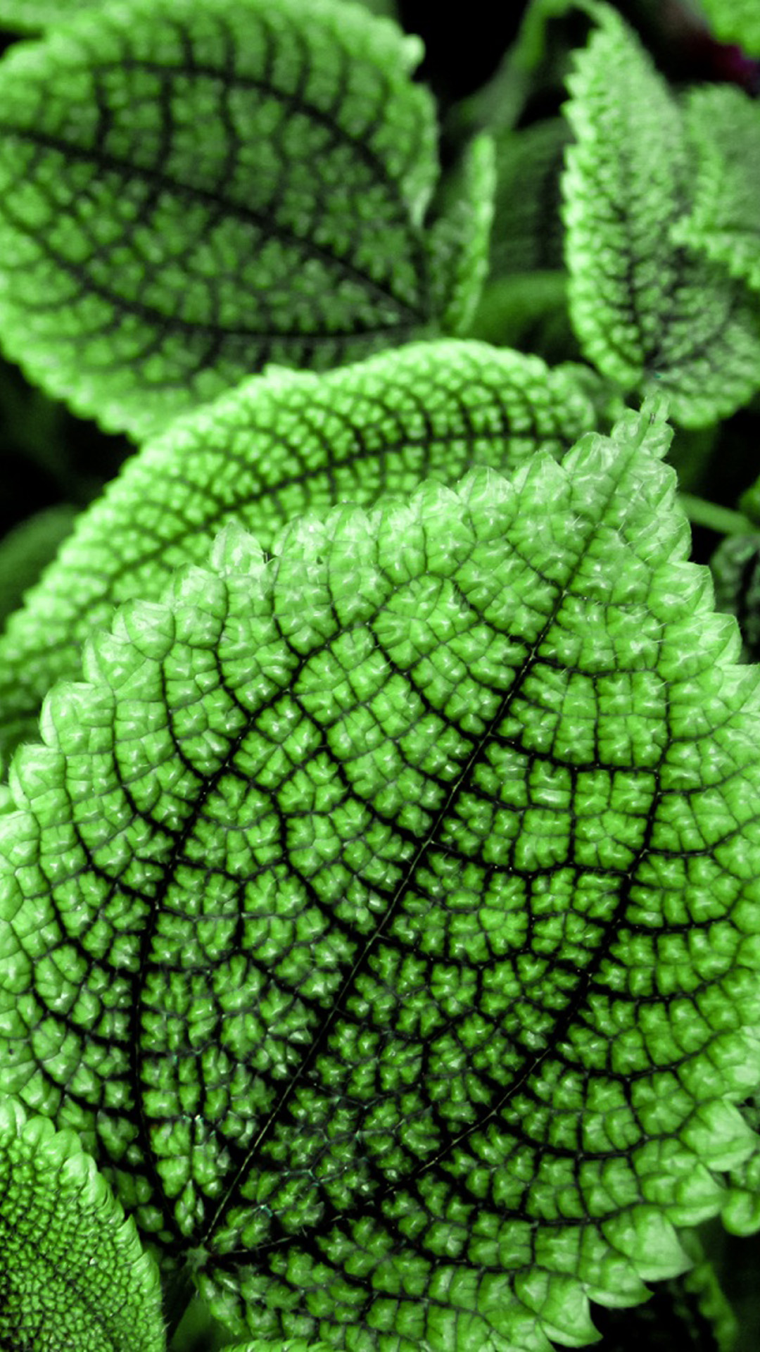 Excellent Wallpaper For Iphone - 1080x1920 Wallpaper - teahub.io