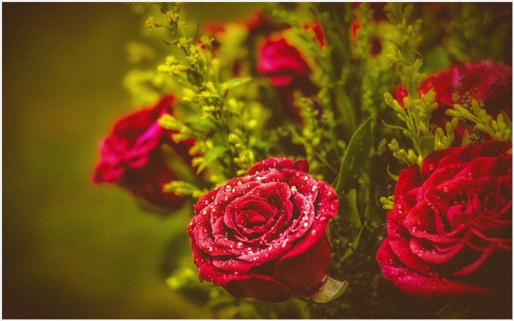 Fresh Flower Wallpaper Hd - 1024x640 Wallpaper - teahub.io