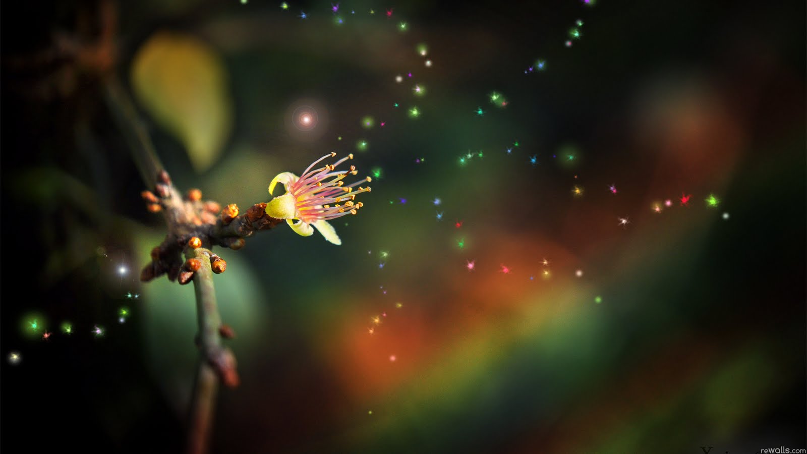 Pixie Wallpaper Spring - 1600x900 Wallpaper - teahub.io