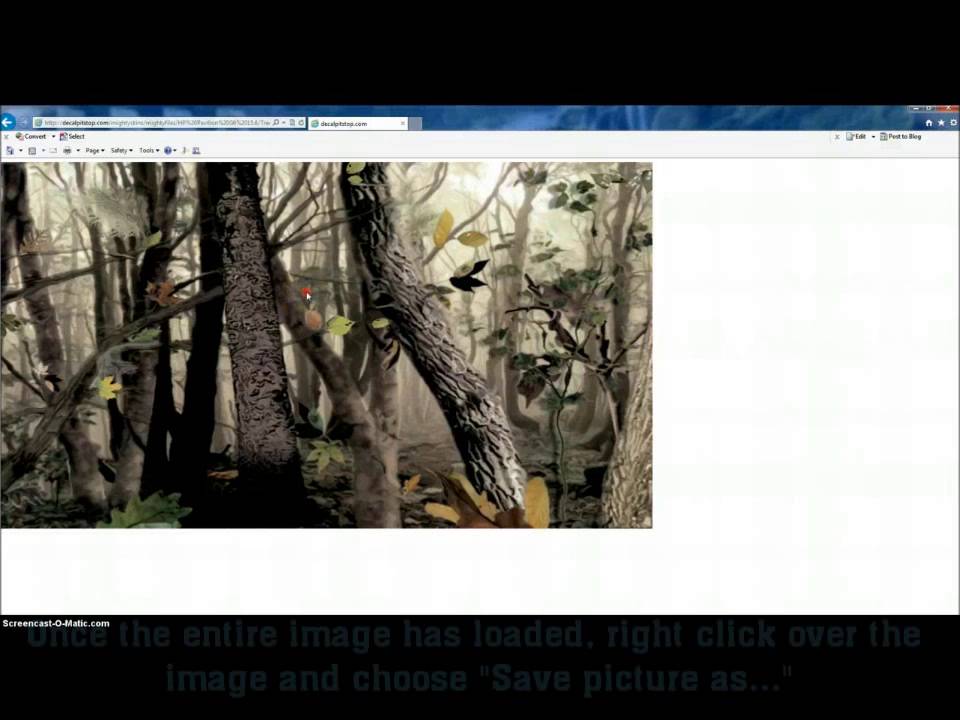 Decal - 960x720 Wallpaper - teahub.io