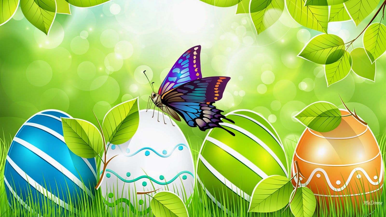 March Beautiful - 1600x900 Wallpaper - teahub.io