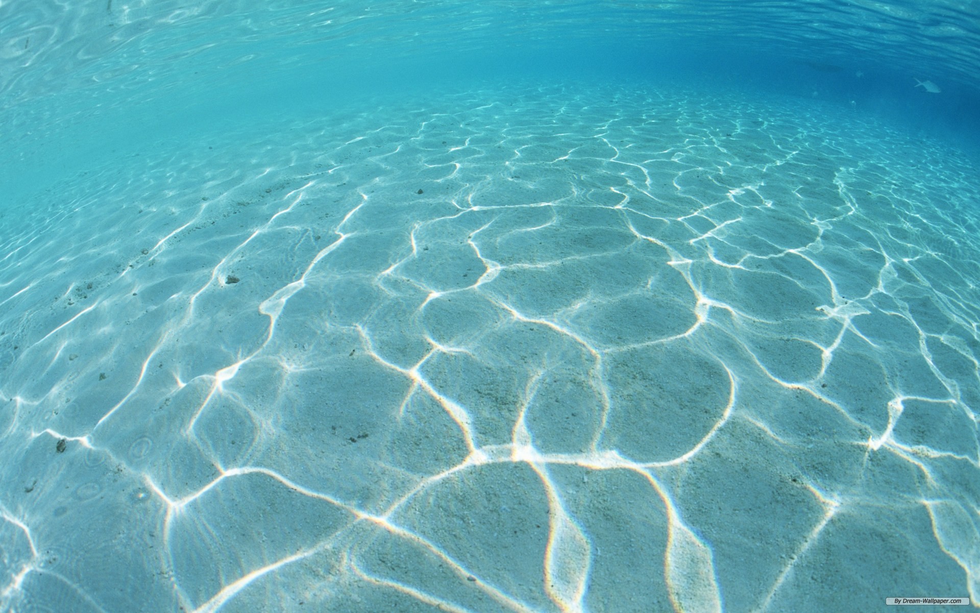 Free Nature Wallpaper - Underwater Gif Background Hd - 1920x1200 ...