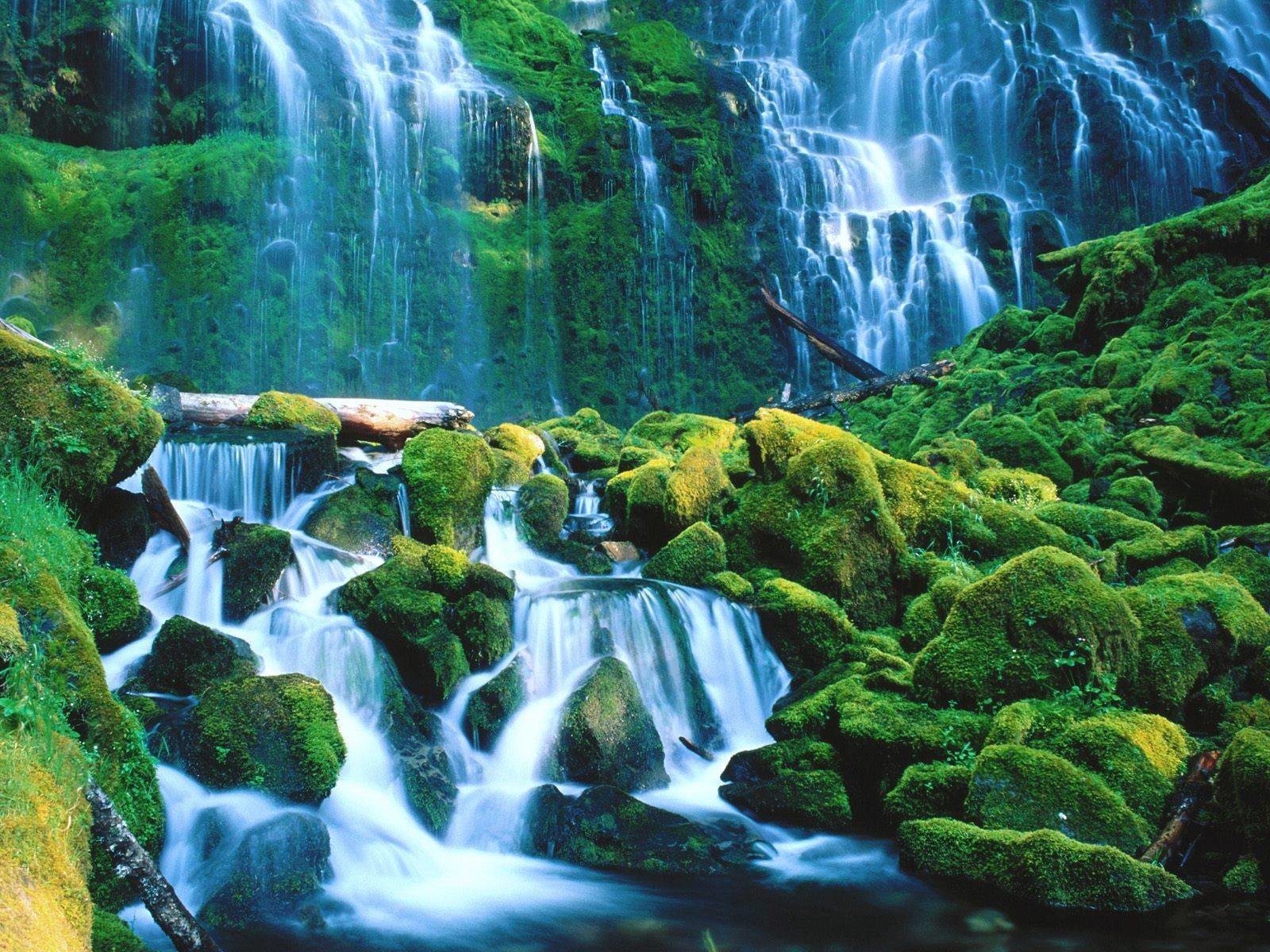 Proxy Falls - 1600x1200 Wallpaper - teahub.io