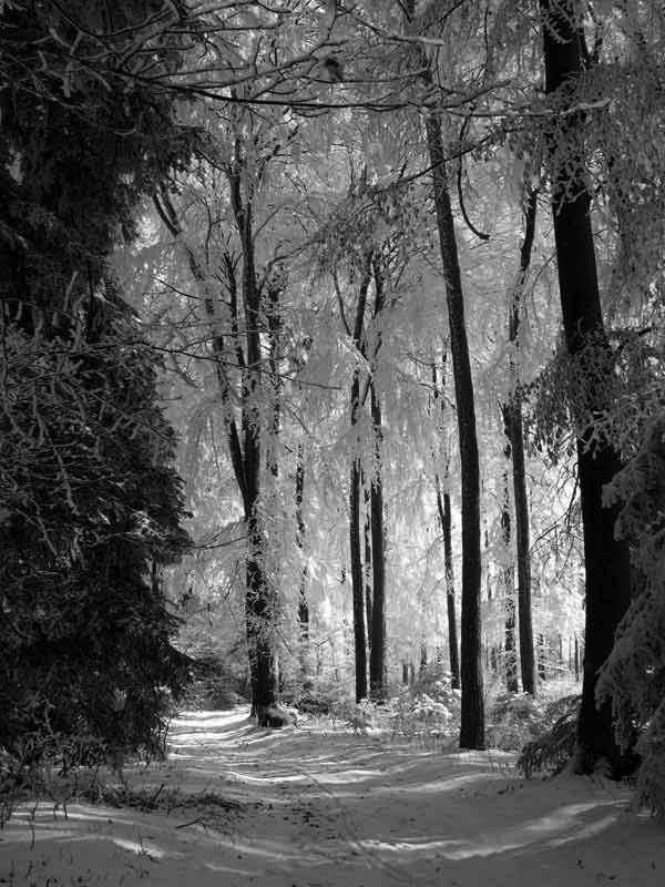 Ebook Reader Backgrounds - 600x800 Wallpaper - teahub.io